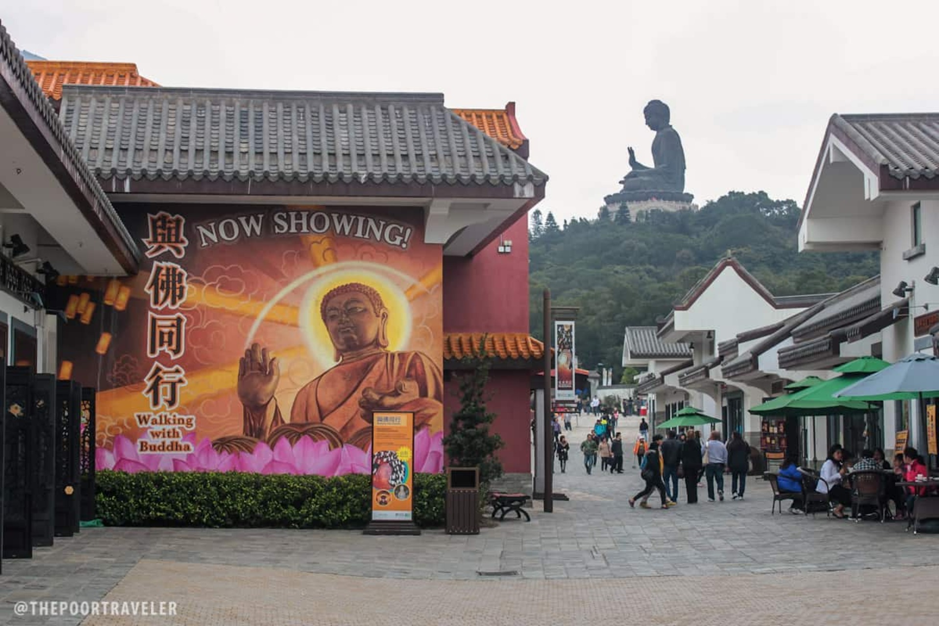 Bus 21 from Ngong Ping to Tai O - Daily Schedule at Ngong Ping Bus Stop