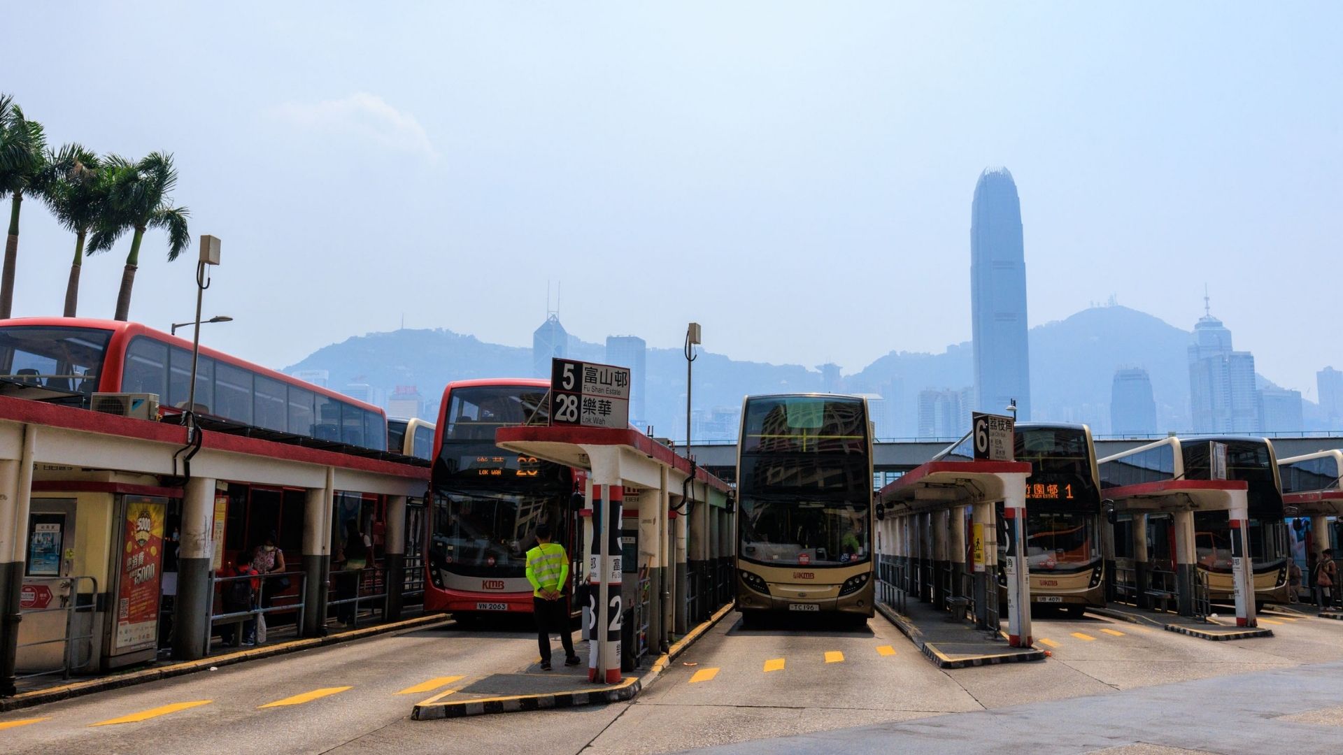Bus and Minibus - Navigating Hong Kong's Transportation Systems