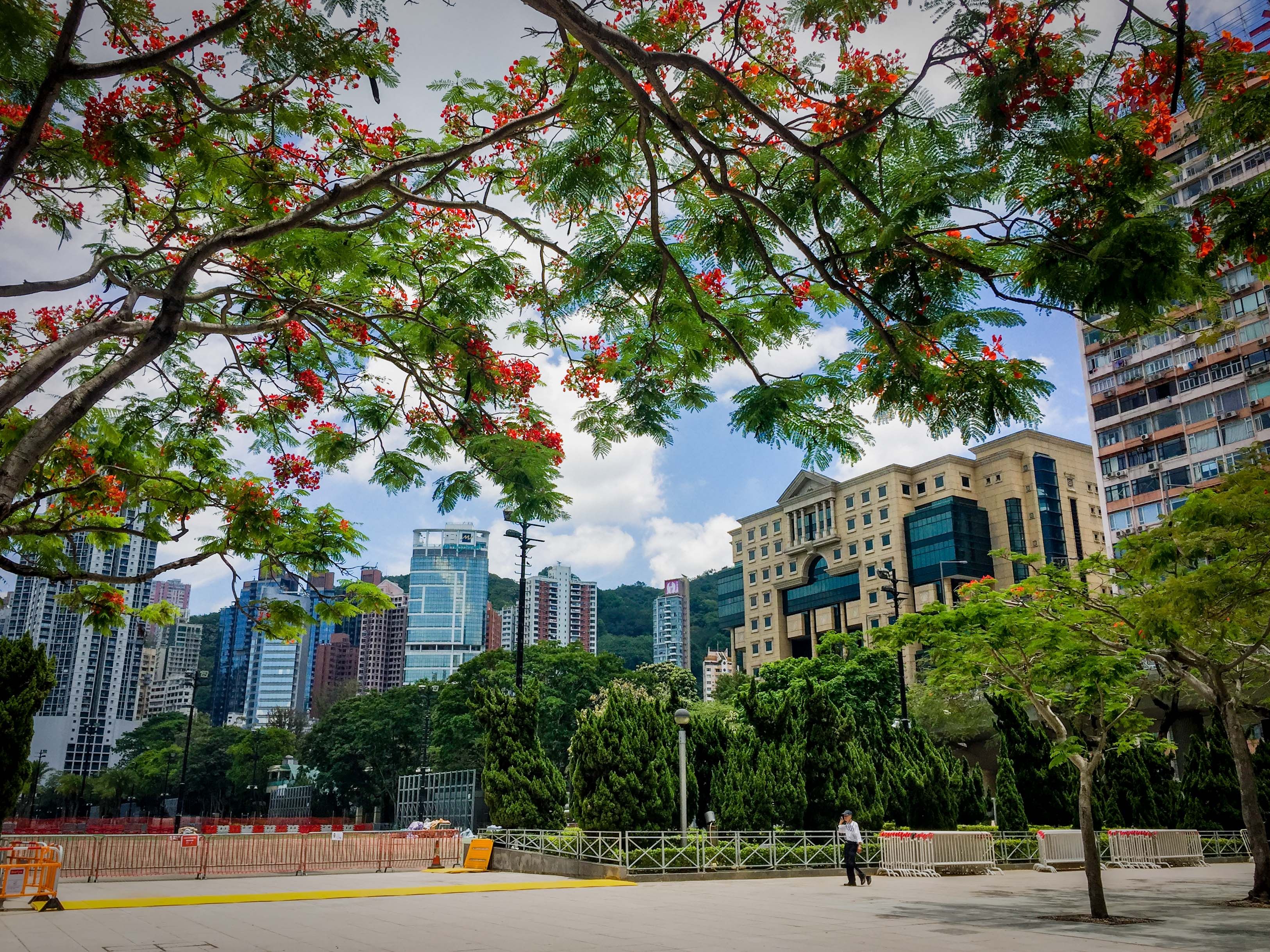 Victoria Park - The Collective Memories of Hong Konger